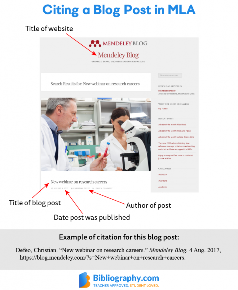 How to Cite a Website in APA, MLA and Chicago in Any Paper ...